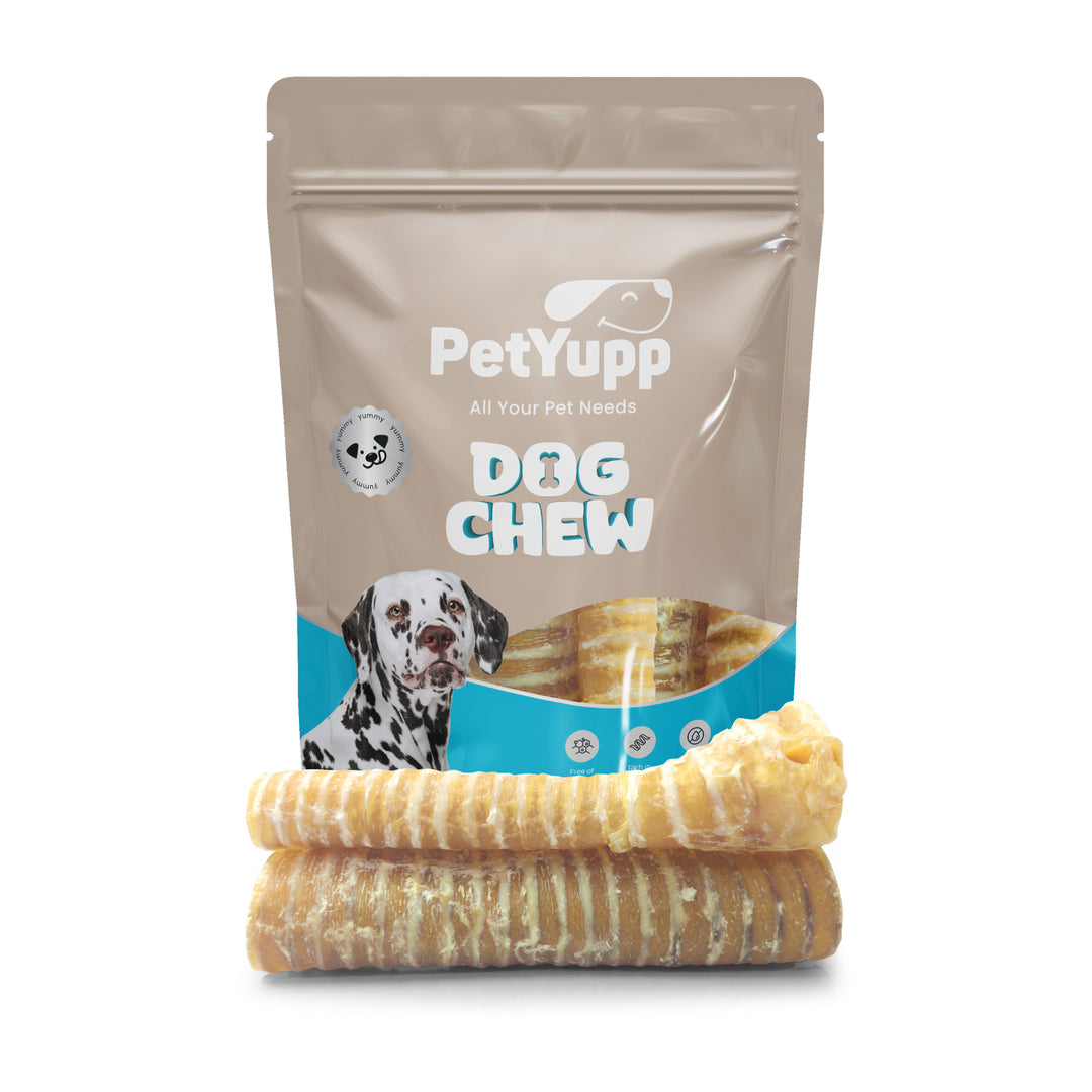 100% Natural Water Buffalo Trachea Dog Chew - Pack of 6, 6 inch