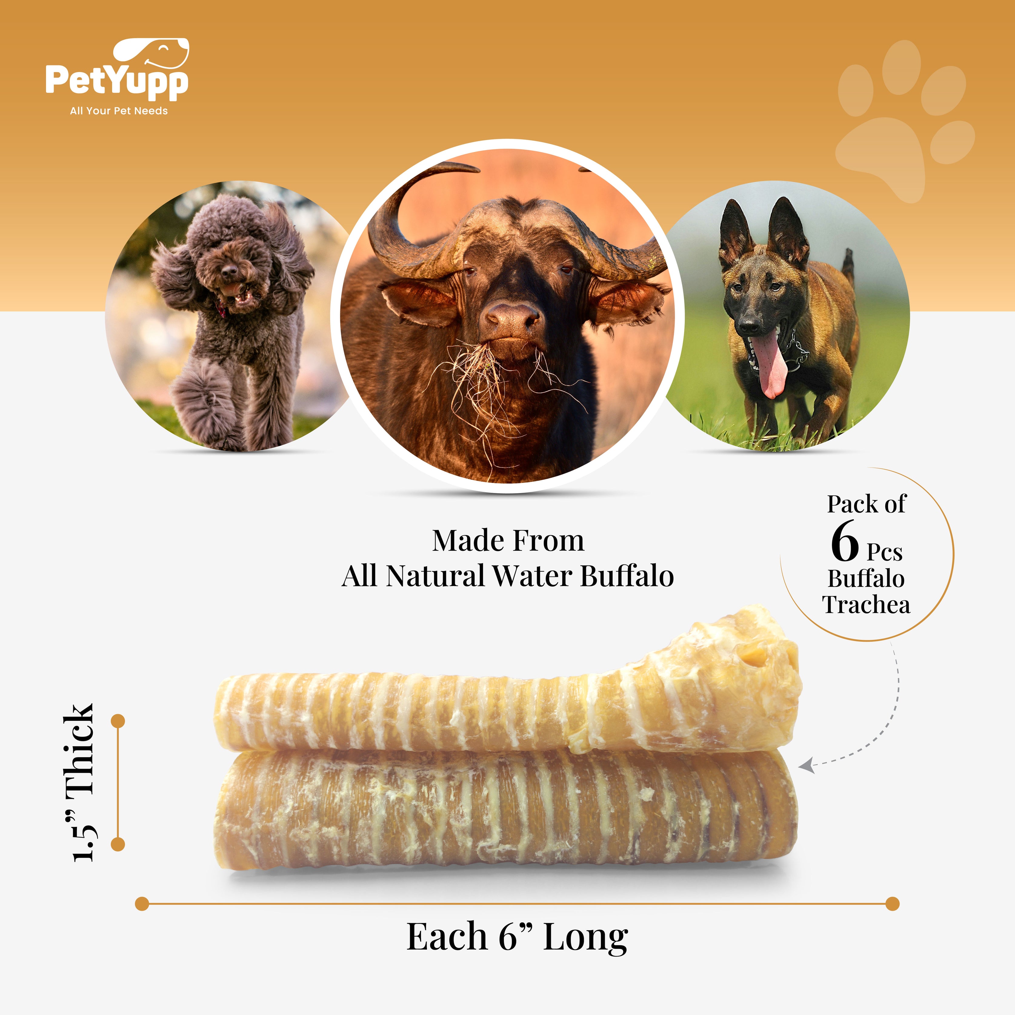 100% Natural Water Buffalo Trachea Dog Chew - Pack of 6, 6 inch