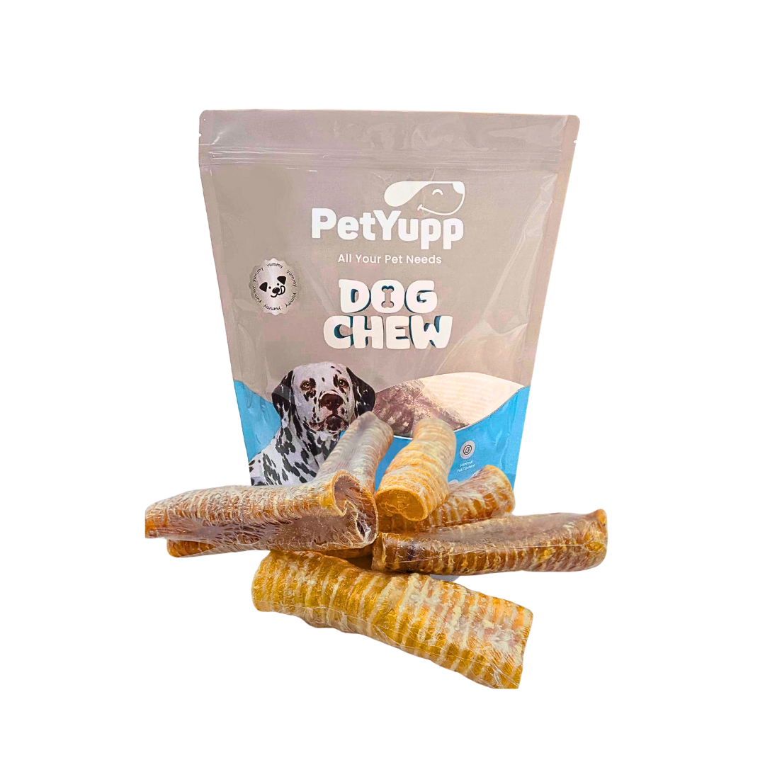 100% Natural Water Buffalo Trachea Dog Chew - 6 Inch - 6 Count – PetYupp